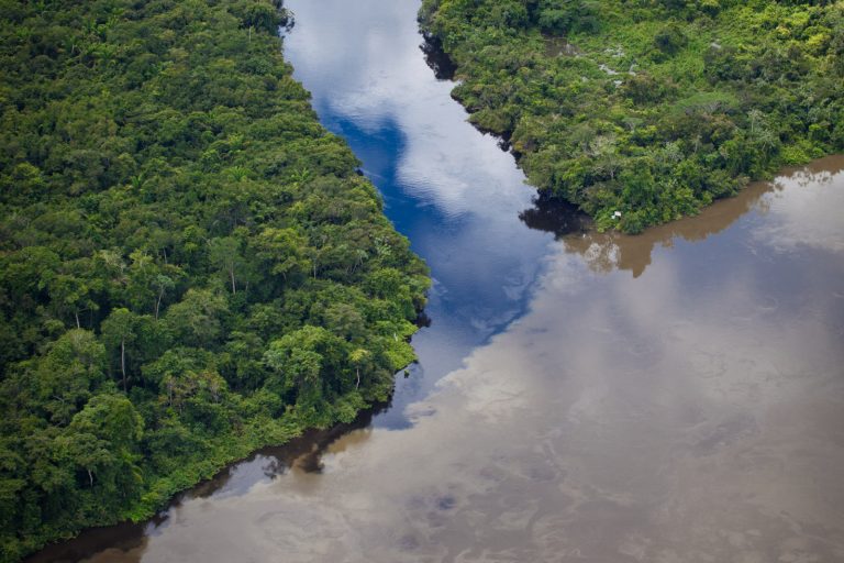 Alta Floresta - Passion Brazil